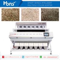 China Hot Selling Walnut Kernel Colour Sorter Steel Structure Sorting Machine for sale