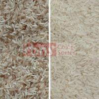 China 2.4KW Full Automatic Color Sorter Machine for Soybean Corn Rice for sale