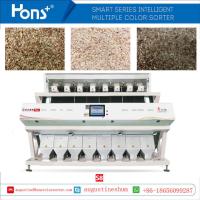 China Hot Selling Walnut Kernel Colour Sorter Steel Structure Sorting Machine for sale