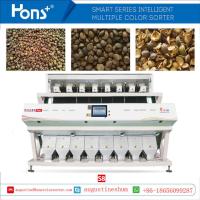 China Camellia Seeds Color Sorter Manufacturer With Intelligent Control for sale
