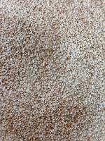 China 4 Channels Economical Sesame Color Sorter Separator for sale