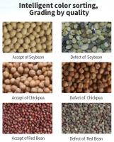 China SGS 2.5t/H 3 Channels Separator Grain Color Sorter Machine for sale