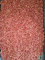 China SGS  RGB Full Color 1800kg/H Cashew Colour Sorting Machine for sale