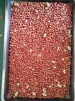 China 0.02mm2 Resolution 2.5t/H Peanut CCD Color Sorter Machine for sale