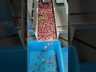 China Vacuum Gravity Grading Machine For Dried Roses Flower for sale