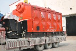 China TAIGUO Chain Row Biomass Pellet Steam Boiler Horizontal for sale