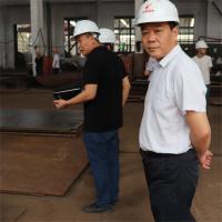 China Pry Installation Industrial  Coal Fired Boiler Operation Manual 0.7-1.6Mpa Pressure for sale