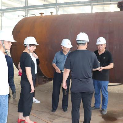 China High Efficiency Chain Grate Biomass Steam Industrial Boiler Straw Fuel for sale