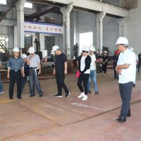 China Pry Installation Industrial  Coal Fired Boiler Operation Manual 0.7-1.6Mpa Pressure for sale