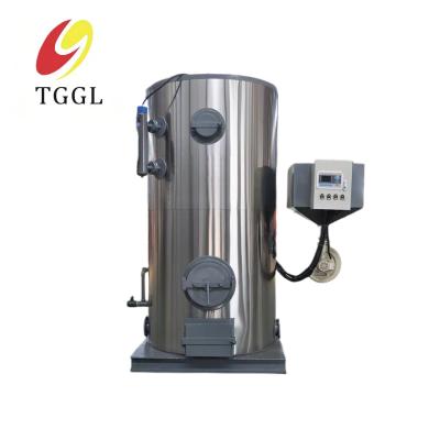 China 50kg/H Gas Fuel Vertical Steam Boiler CE Certificated Low Pressure for sale