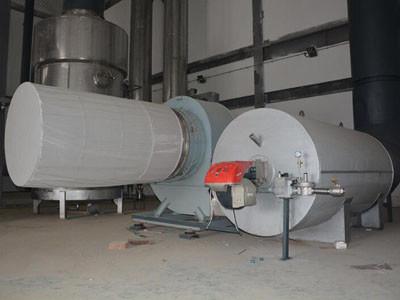 China Natural Gas Pure Air Hot Blast Stove hot air coal furnace OEM ODM for sale