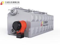 China Customizationszl Gas Fired Chain Grate Boiler Double-Drum for sale