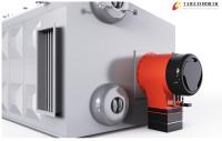 China Customizationszl Gas Fired Chain Grate Boiler Double-Drum for sale