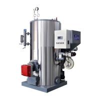 China 100kg 200kg 300kg 500kg Natural Gas Steam Generator Boiler For Food Industry for sale