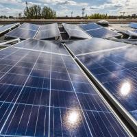 China 555W-585W N-Type Purple Horn Solar Panel 182mm Half Cell PV Module 144 Cells for sale