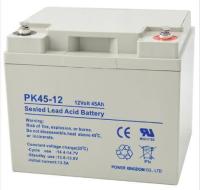 China Deep Cycle Sealed Lead Acid Battery 12V 45Ah 13.8kg Full Charged for sale
