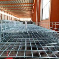 China Galvanized Iron Gi Wire Mesh Cable Tray For Data Centers Office Buildings for sale