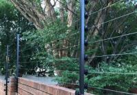 China Galvanized Electric Fencing Solutions For Ultimate Security Deterrence for sale