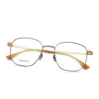 China Titanium Frames Popular Designer Optical Frames For Men Women 6002 for sale