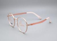 China Various Colors Kids Metal And PPSU Optical Athletic Glasses LF 2533 for sale