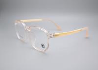 China Elliptic Ultralight Adjustable Temple TR Glasses Frame 6301 for sale