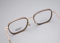 China Plastic And Metal Eyeglass Frames Metal Chassis TR Plastic Frame 3806 for sale