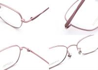 China Elegant Intellectual Style Lightweight Titanium Glasses  ZTO 3031 for sale