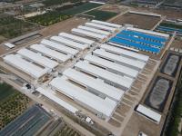 China Industrial Steel Structural Buildings Prefabricated Steel Poultry House Customized for sale