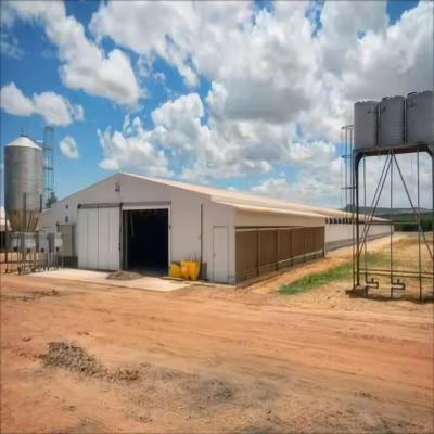 China Modern Design Waterproof Thermal Insulation Chicken House Laying Chicken House Steel Structure Poultry House for sale