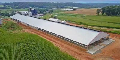 China Steel Structure Cow House Design Cow Farm House Farm Shed Steel Structure Workshop for sale