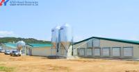China Double Light Steel Structure Chicken House with Fully Automatic Equipment for sale