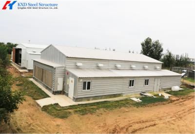 China Galvanized Steel Poultry Shed for Large-Scale Chicken Farming for sale