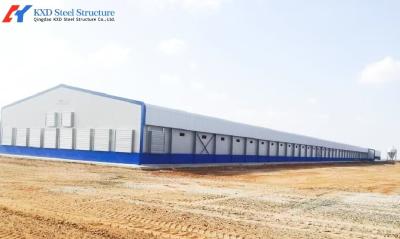 China Steel Structure Poultry House with Automated Feeding and Ventilation Systems for sale