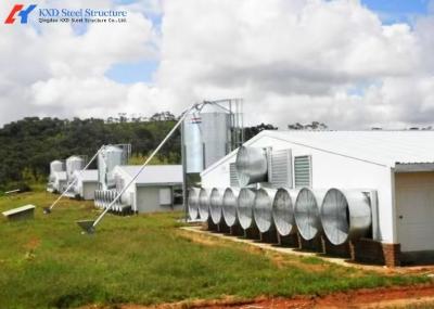 China Prefab Steel Structure Poultry Farm House for Broiler Fattening for sale
