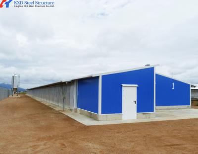 China Prefabricated Steel Poultry Shed with Automatic Feeding and Drinking Systems for sale