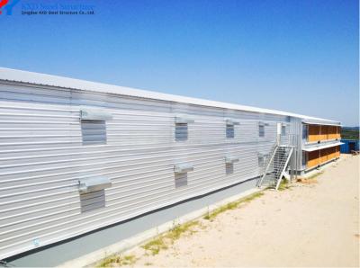 China Customized Automatic Steel Structure Poultry Farming House for Broilers for sale