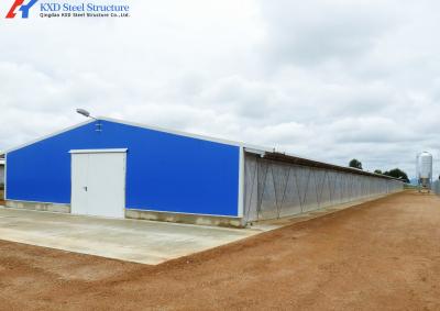 China H Section Steel Poultry House Building with Q235/Q355 Welded Frame for sale