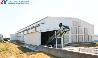 China Q235 Q345 Steel Structure Broiler Chicken House for High Meat Yield for sale