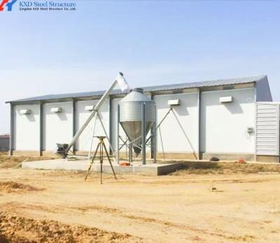 China Prefab Steel Structure Broiler Chicken Shed with Onsite Installation for sale