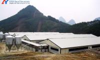 China Prefabricated Lightweight Steel Structure Chicken House Shed with ISO9001 CE Certification for sale