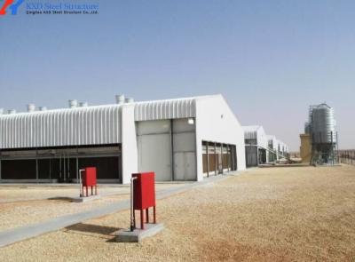 China KXD Prefab Steel Frame Metal Building - Q345 Q235 Steel Poultry Shed for sale