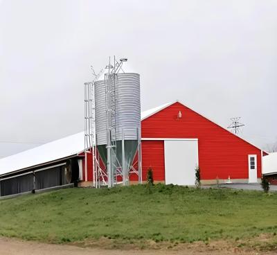China Q235B Q355B Carbon Steel Poultry House Prefabricated Steel Structure for sale