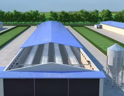 China Automatic Poultry Broiler House Steel Structure with Q235/Q355 H Section Steel for sale