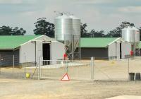 China Prefabricated Steel Frame Poultry House with Fully Automated Chicken Farming Equipment for sale