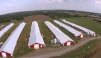 China Steel Frame Prefab Poultry House with Automated Broiler Farming Equipment for sale