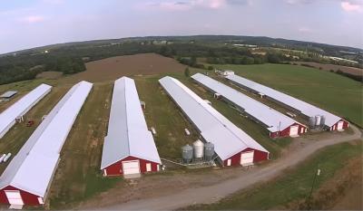 China Steel Frame Prefab Poultry House with Automated Broiler Farming Equipment for sale