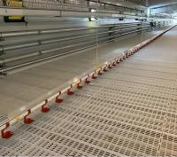 China Broiler Farm Plastic Slatted Dung Leaking Board Poultry Slat Floor For Chicken Chick Duck Goose for sale