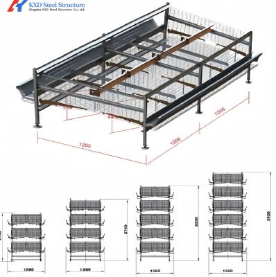 China 3 Tiers-10 Tiers Broiler Chicken Cage  Automatic Broiler Battery Cage System for sale