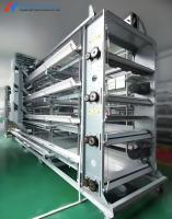 China 10 Tiers Fully Automated Broiler Cage Equipment Broiler Chicken Cage System For Philippines Poultry Farming for sale