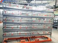 China Chicken Raising Equipment Galvanized Steel H Type Poultry Cage Equipment For Layers for sale